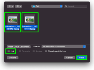 5 Easy Ways to Embed Images in Adobe Illustrator
