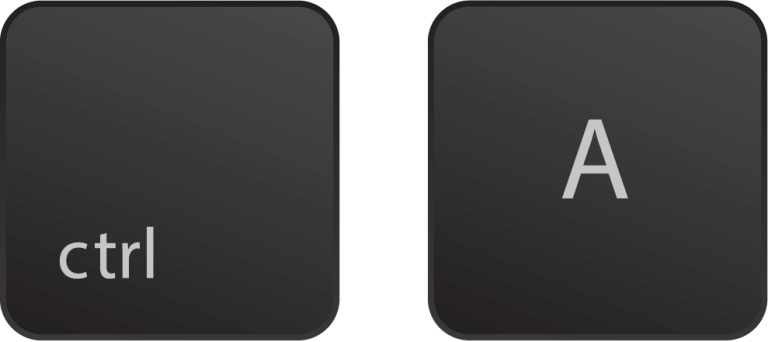 3 Easy Ways To Copy From Word To Canva