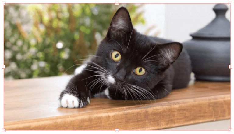 2 Easy Ways To Invert Or Reverse Colors In Illustrator