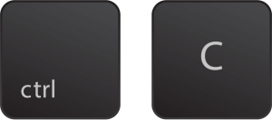 3 Easy Ways To Copy From Word To Canva