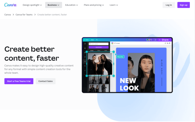 What Are Canva Alternatives