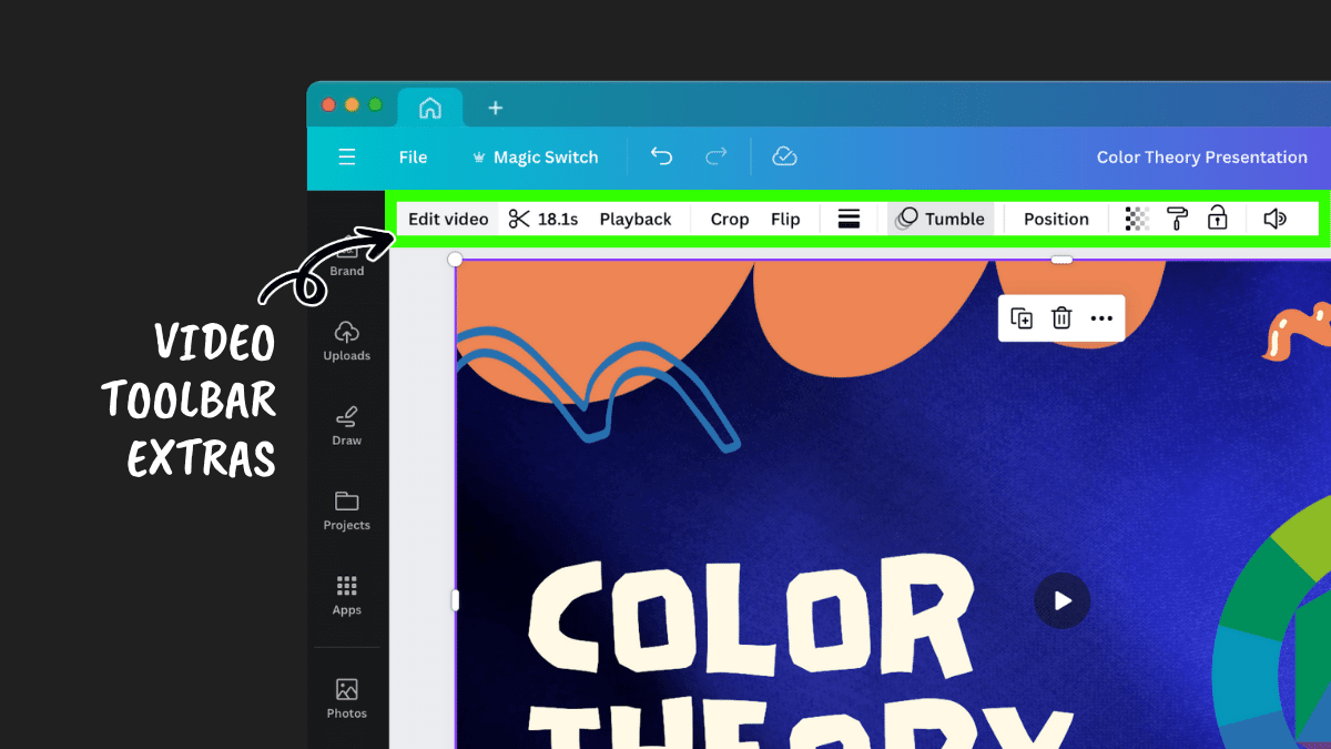 What Is The Canva Editor