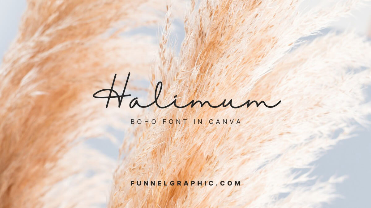 21 Free Boho Fonts In Canva With The Best Bohemian Style