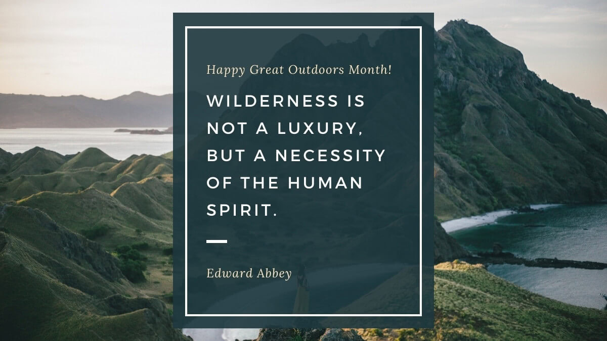 Free Quote Fonts In Canva: 17 Engaging Fonts To Inspire You