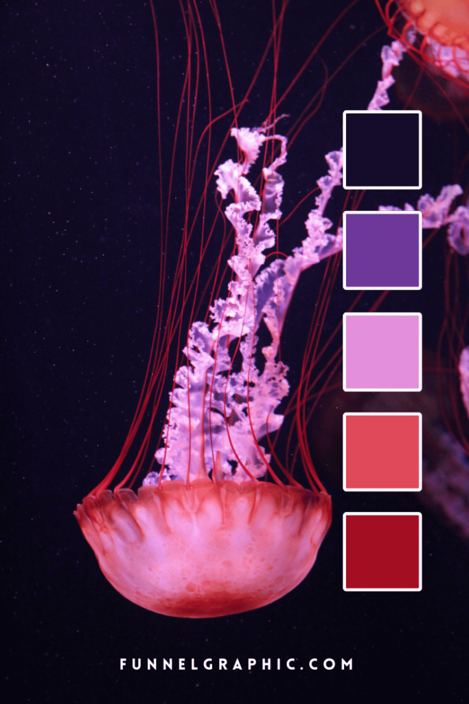 10 Jellyfish Color Palette For Your Brand Kit Ideas