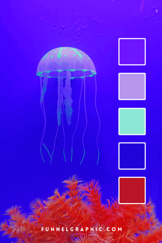 10 Jellyfish Color Palette For Your Brand Kit Ideas