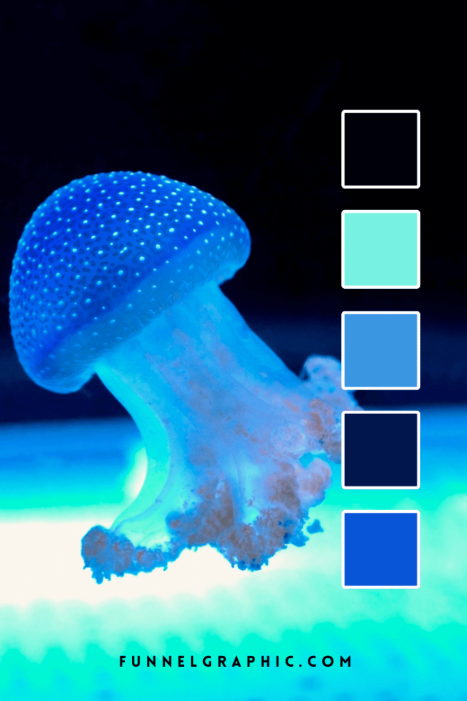 10 Jellyfish Color Palette For Your Brand Kit Ideas