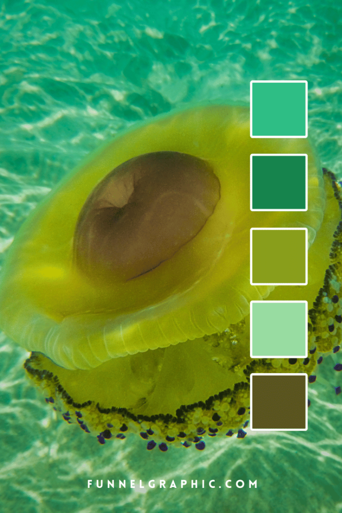 10 Jellyfish Color Palette For Your Brand Kit Ideas